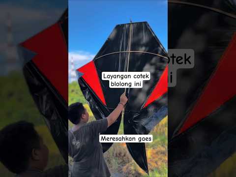 LAYANGAN COTEK BLOLONG INI MERESAHKAN GAES ‼️ #layangan #cotek #kite #layanganputus #videoshort