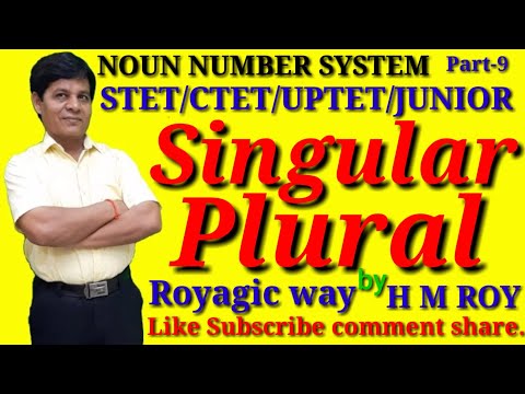Noun Number System, Singular/Plural with specific use of Nouns ending in ("O")