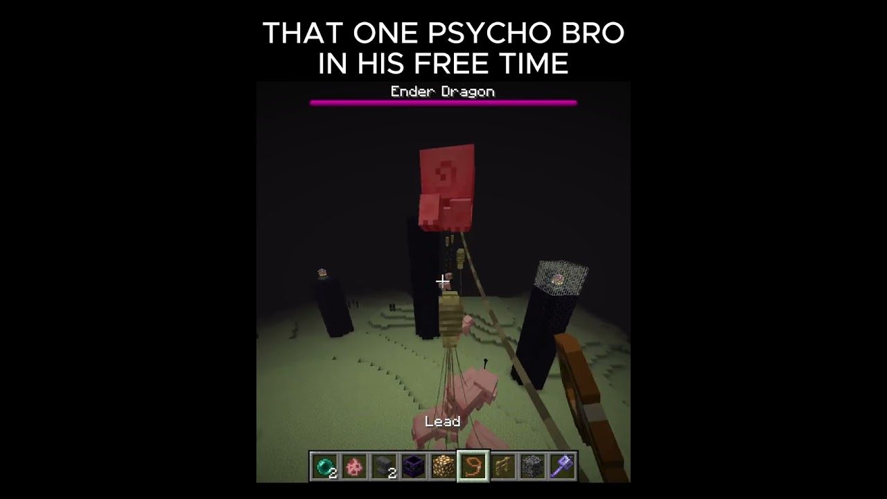 ENDER DRAGON KI.../ #minecraft