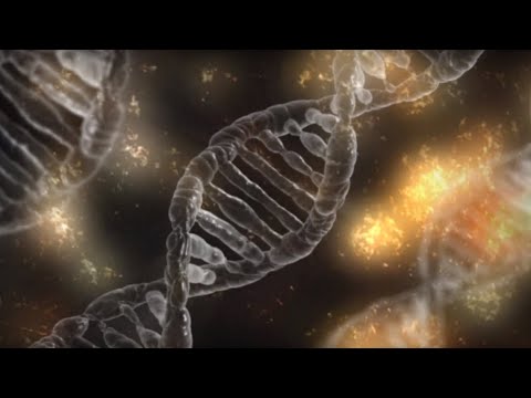 BIOL 005A - INTRO: CELL & MOLECULAR BIOLOGY - Morris Maduro - UCR