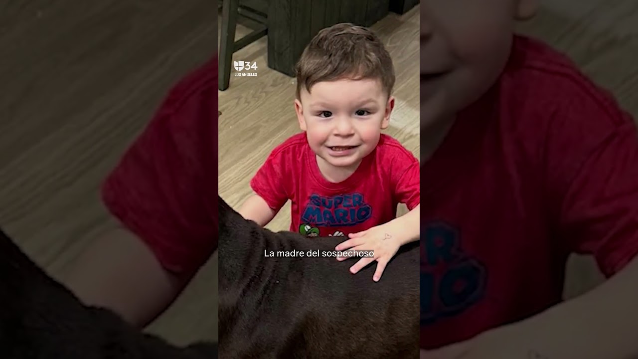 Baby murdered in foster home: His cousin is the suspect