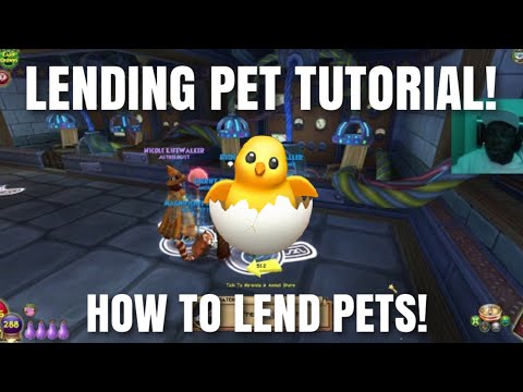 PET LENDING TUTORIAL! Wizard101 Commentary