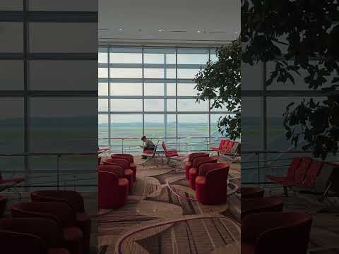 Changi Airport Singapore 🇸🇬 Number 1 airport in the world. The best airport in the world #singapore