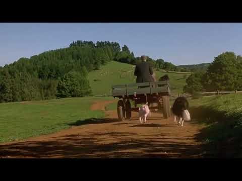 AMERICAN FOLK - 3 - Farmers and Ranchers