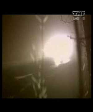 Freeloader - Pure Devotion