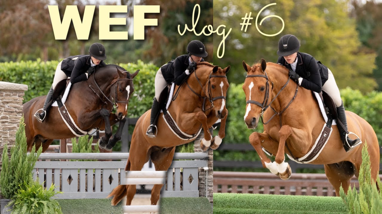 WEF VLOG #6: The last horse show vlog