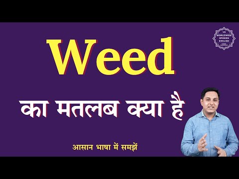 Weed meaning in Hindi | Weed ka matlab kya hota hai | English to hindi