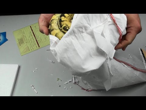 Unboxing A New Gene That Will SURGE Through Our Collection!