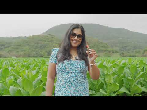 Tor Tour 2025 - Oliva Cigars