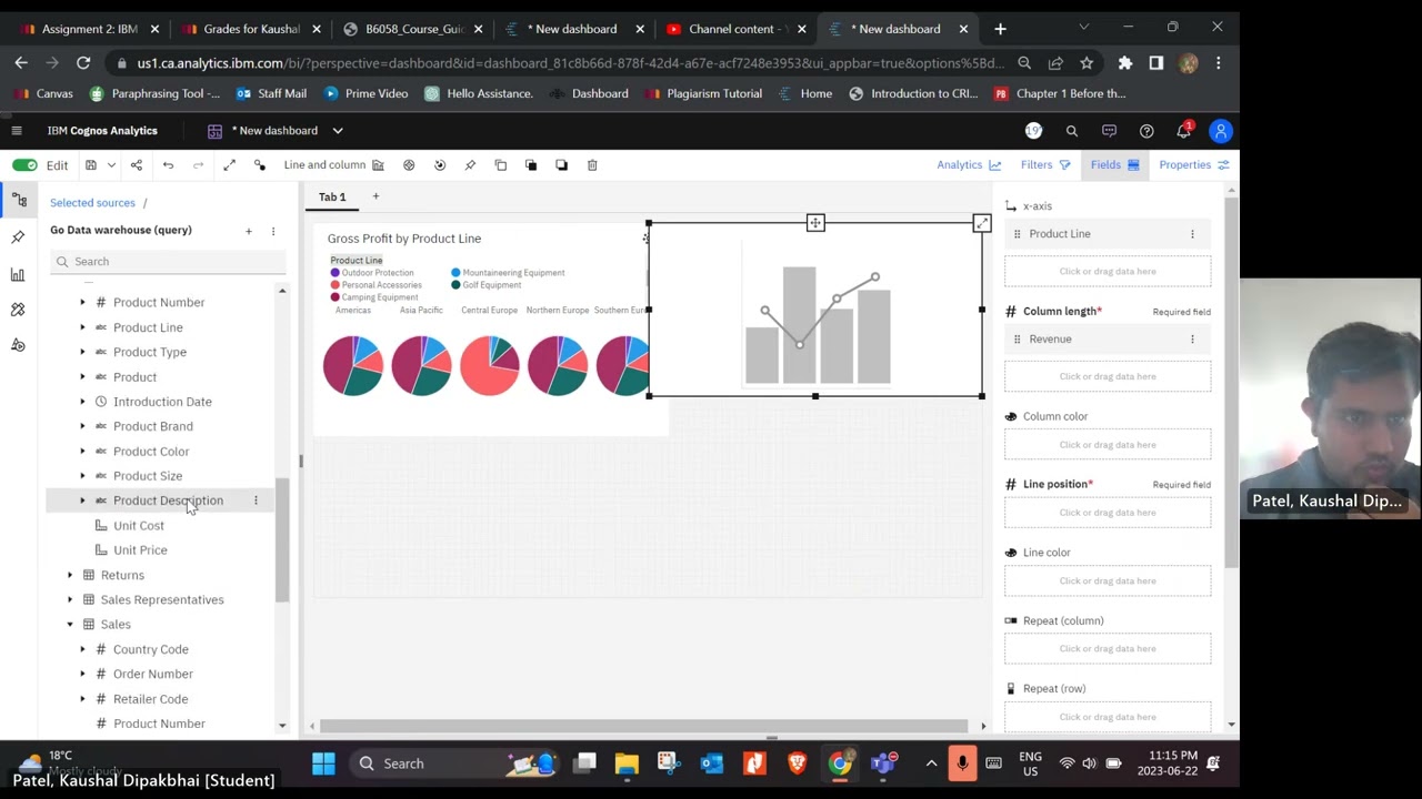 Dashboard Kaushal Patel