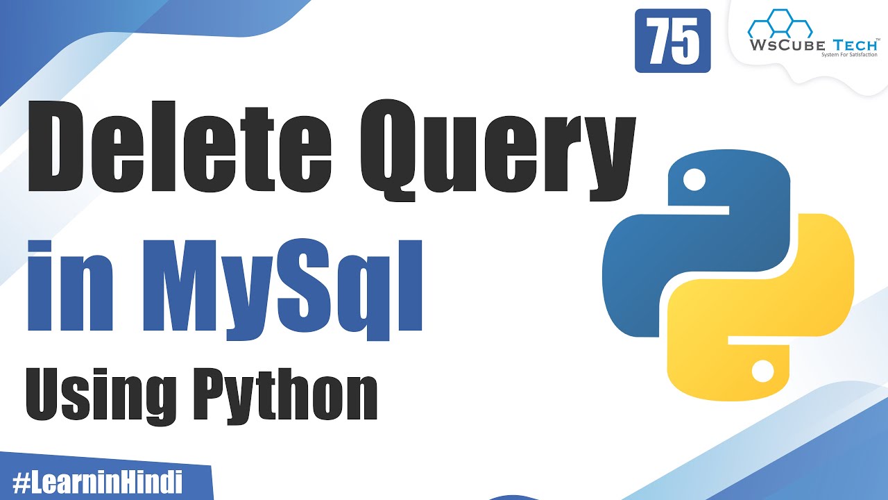 What is Delete Query in MySql Using Python | Python Tutorial