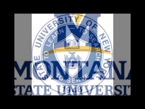 university logo