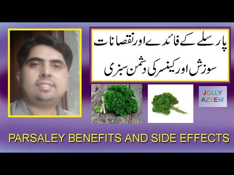 parsley herb ke fayday aor nuqsanat,parsley benefits and side effects in urdu/hindi ,