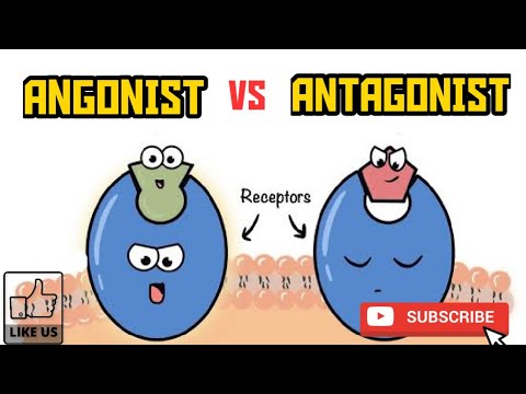 AGONIST | ANTAGONIST | MEANING | EXAMPLE | USES | PHARMA TAMIL | RK | #151