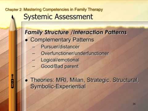 Case Conceptualization Part I, Mastering Competencies in Family Therapy