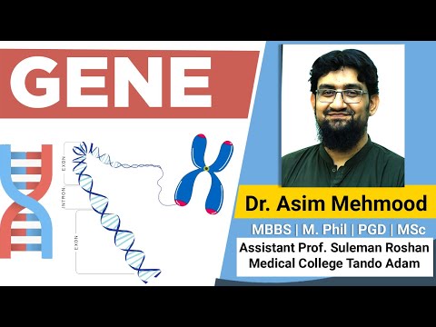 What is Gene and Allele ( Hindi / Urdu )