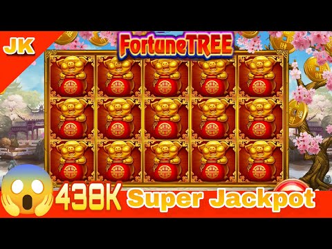 Fortune Tree Jili Game | 438K Super win | Jili | Jili Slot Game Today