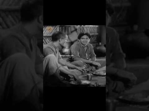 మనదంతా ఒకటే కులం #shorts #short #shortsvideo #shortvideo #telugu #savitri #anr #youtubeshorts #yt