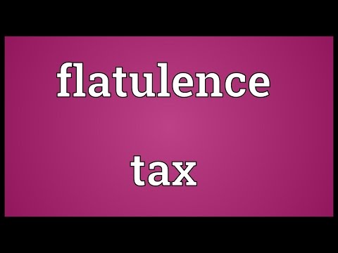 Flatulence tax Meaning