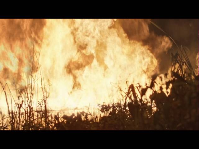 Daryl Dixons Best Clutch Moments In The Walking Dead Universe Nerdist