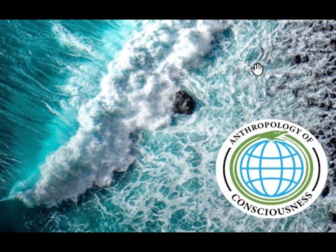 Embodied Ecologies: Engaging the World Through Self
