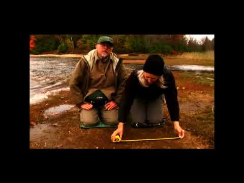 How to Measure Strides in Animal Tracking