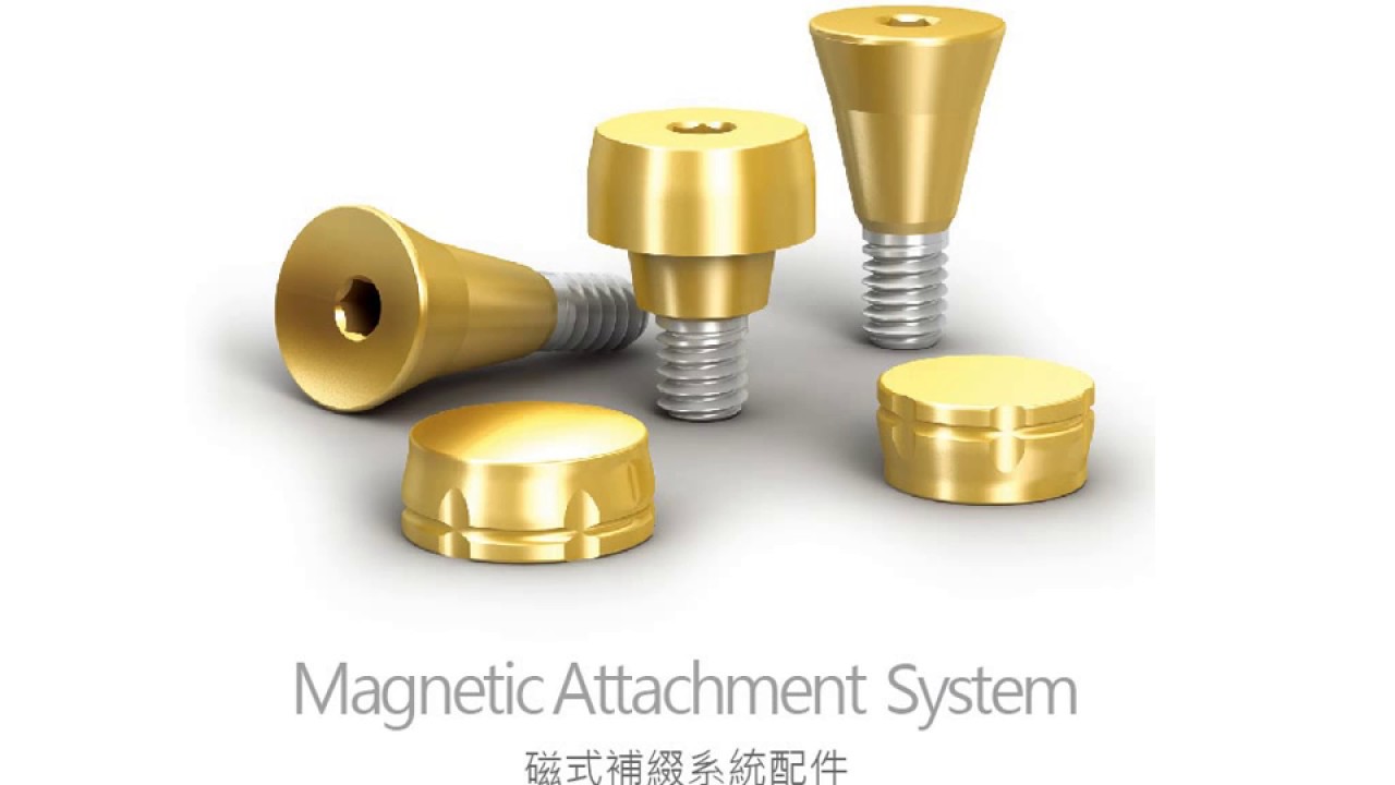 DENTIS Magnetic Attchment System