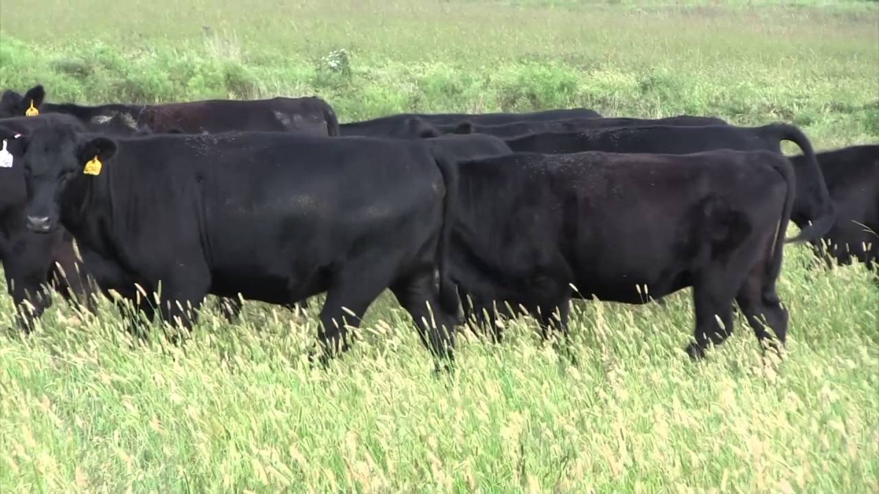 Ratcliff Ranch in Vinita, Oklahoma