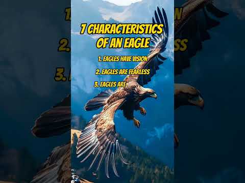 7 Characteristics Of An Eagle #shorts