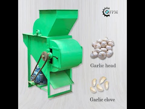Garlic Bulb Cutter - Garlic Bulb Breaker Latest Price, Manufacturers ...