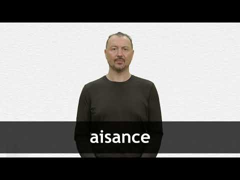 English Translation of “AISANCE” | Collins French-English Dictionary