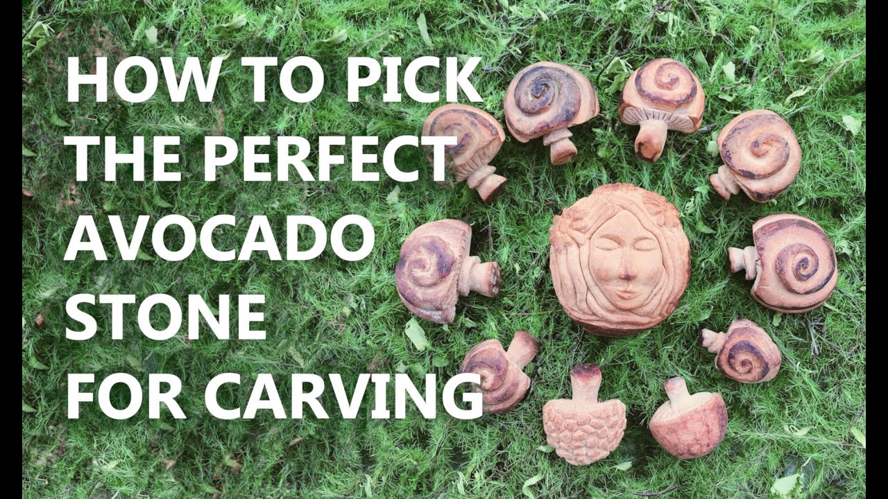 choosing an AVOCADO STONE / SEED for carving
