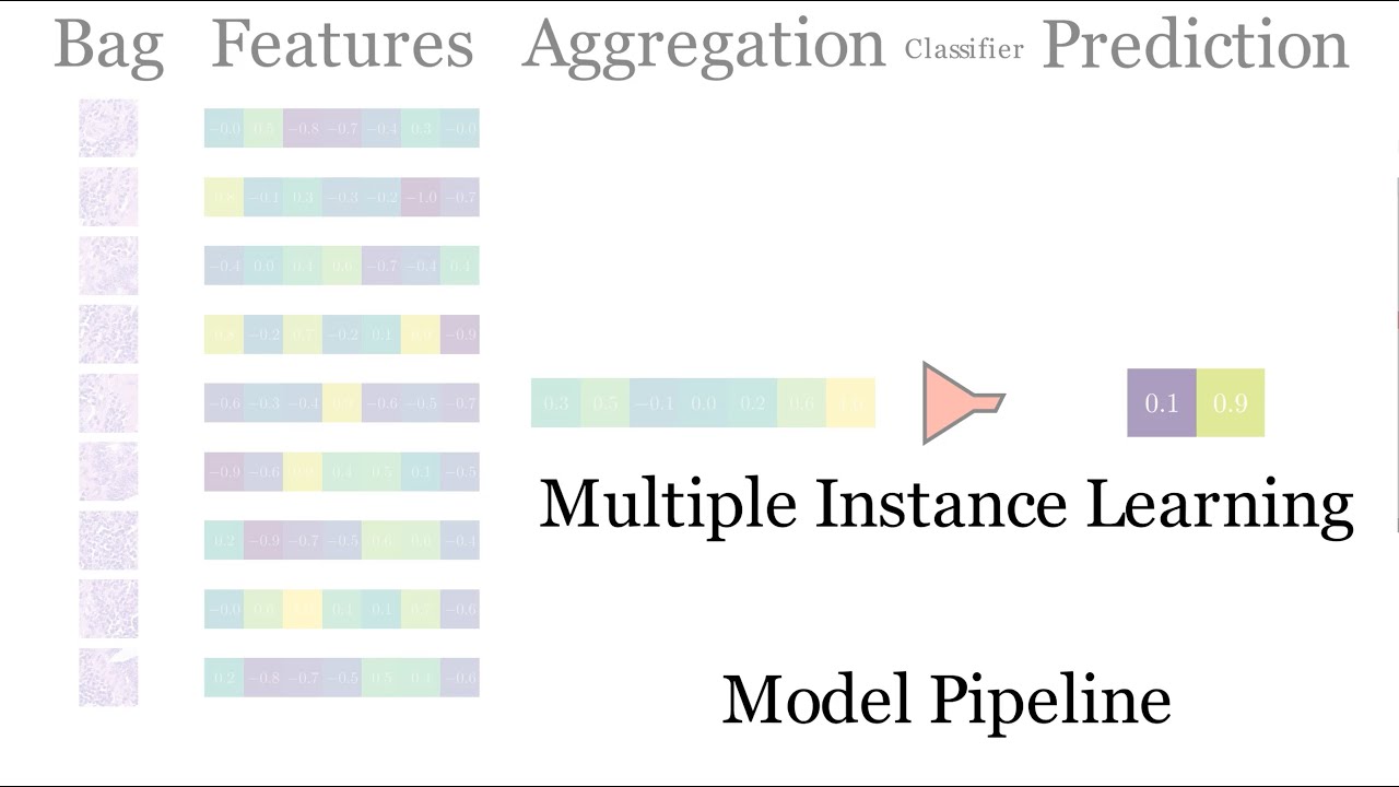 Multiple Instance Learning: Model Pipeline