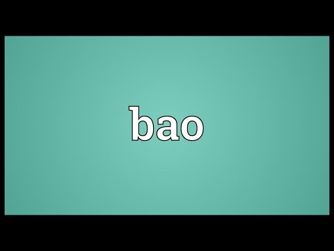 Bao Meaning