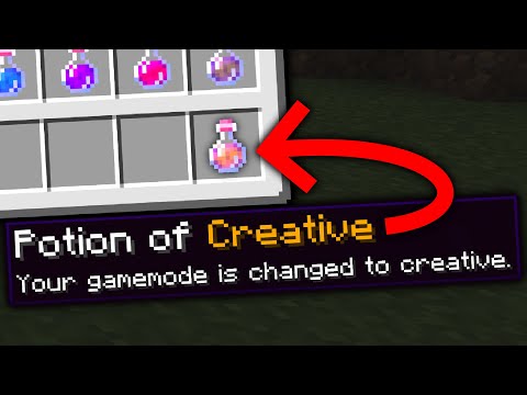 Minecraft, But There Are Custom Potions...