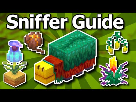 Ultimate Minecraft 1.21 Sniffer Guide - Eggs, Snifflet Torchflower & Pitcher Pod Farm