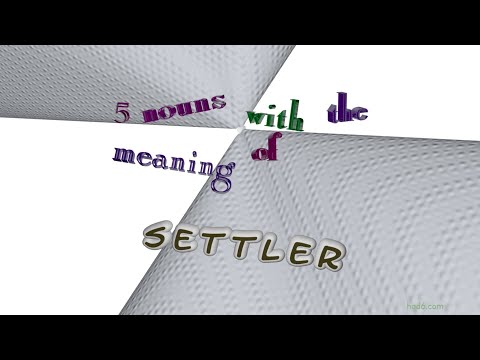 settler - 5 nouns which are synonyms to settler (sentence examples)