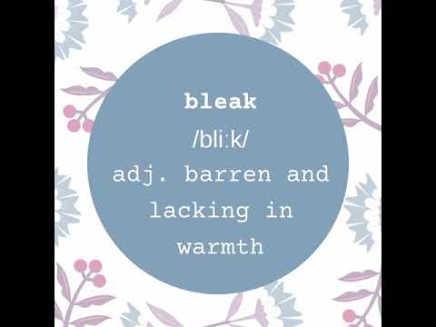 A word a day keeps the dictionary away - bleak