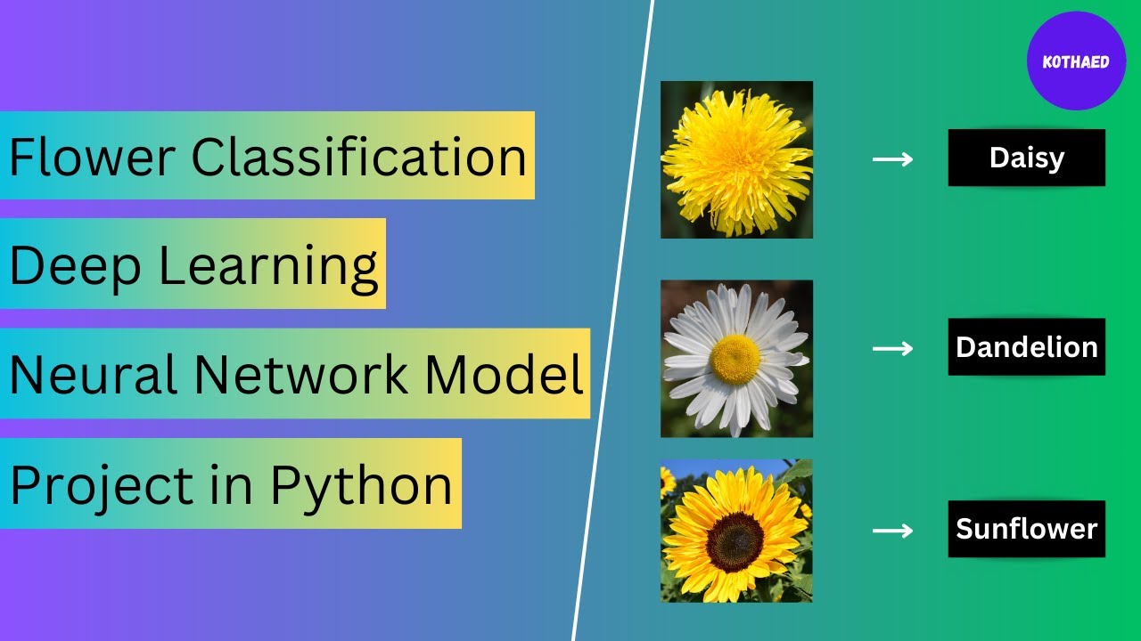 Flower Classification Project in Python  Deep Learning Neural Network Model Project in Python