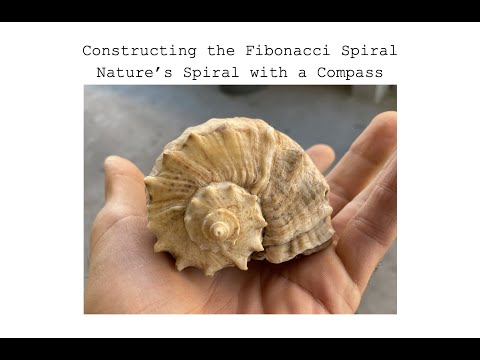 Constructing the Fibonacci - Understanding Nature's Spiral - with a Compass and Graph Paper