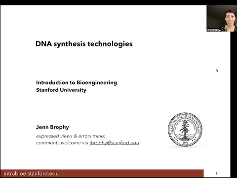 M4A3 DNA synthesis