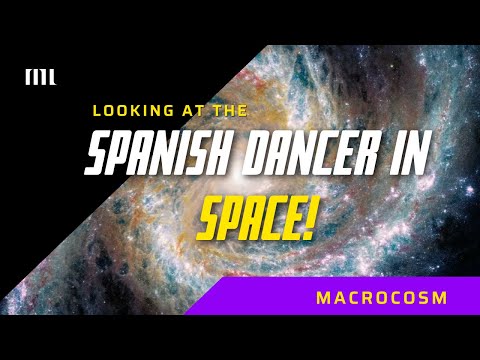 Spanish Dancer in Space | NGC 1566 Galaxy