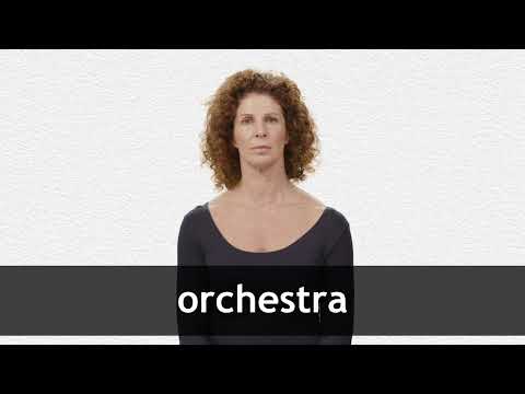 ORCHESTRA definition and meaning | Collins English Dictionary