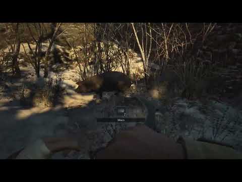 Steam Community :: Resident Evil Village