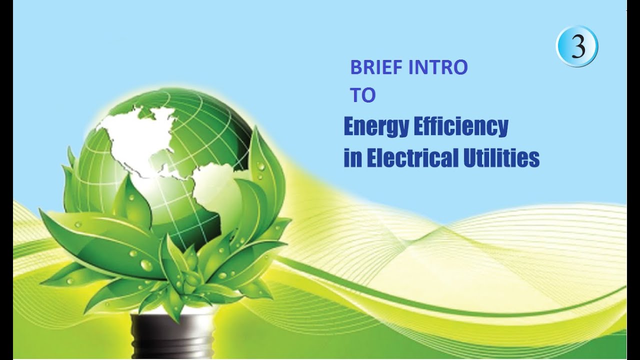 Book 3 - Energy Efficiency in Electrical Utilities