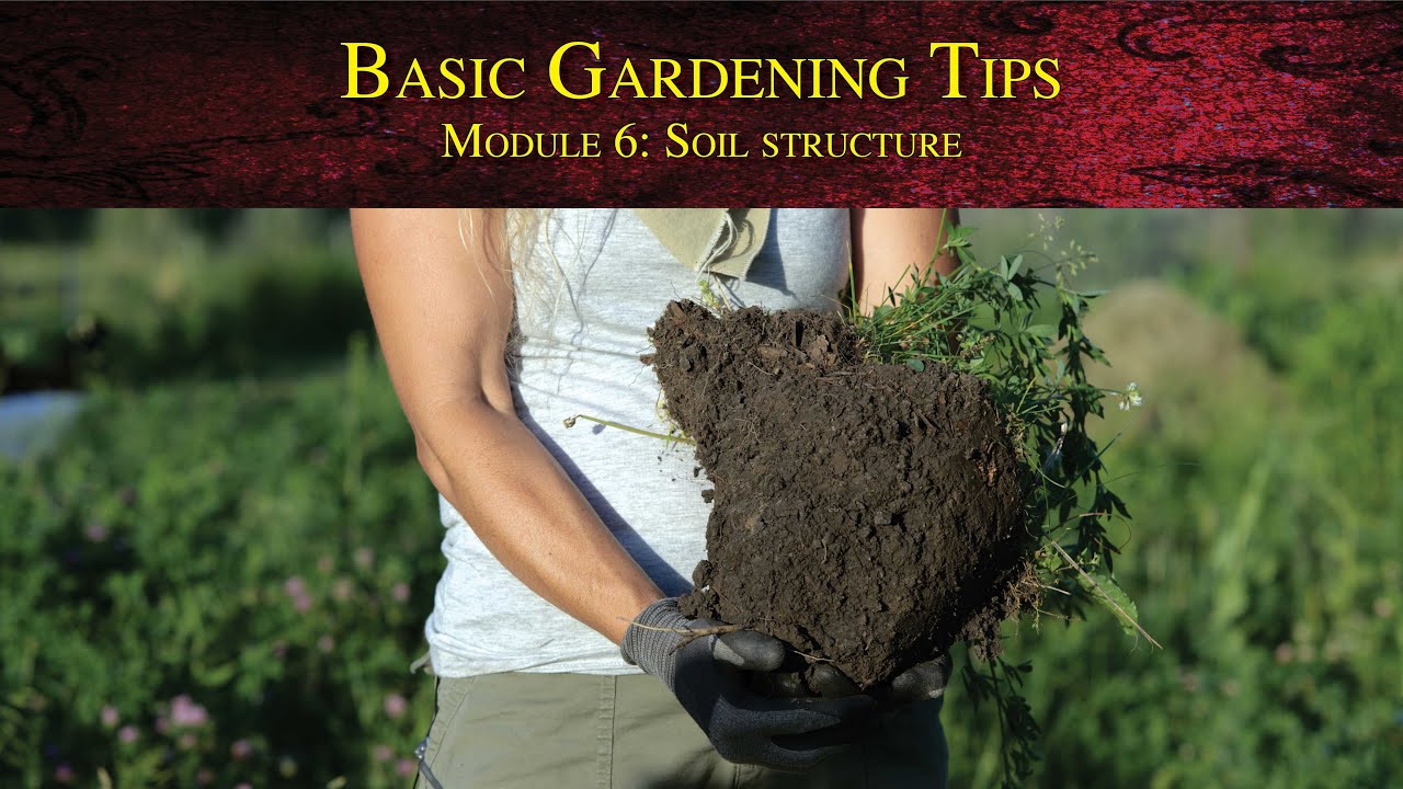 Basic Gardening Tips – Module 6: Soil structure – SLC – Sustainable ...