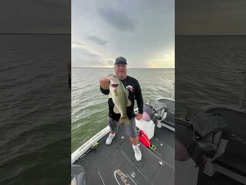 Some nice bass this weekend #bassfishing #largemouth bass#texas