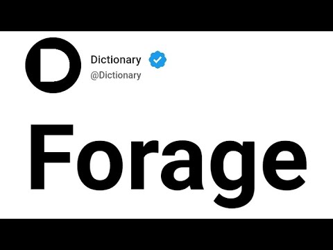 Forage Meaning In English