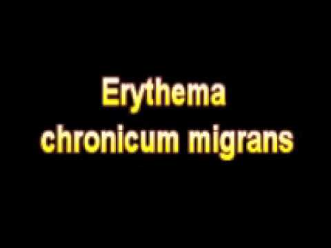 What Is The Definition Of Erythema chronicum migrans - Medical Dictionary Free Online
