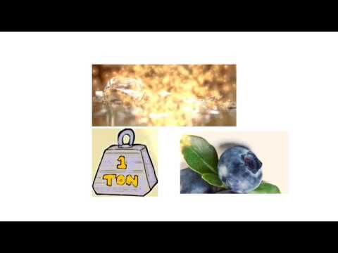Indie and Rock "Answers Video" Cryptic Clues - Episode 2